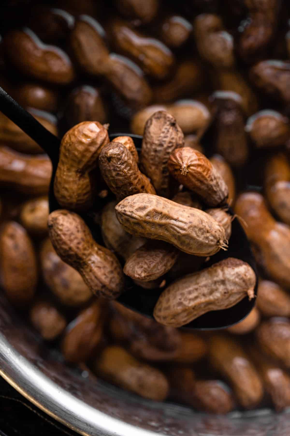 Instant Pot Boiled Peanuts - Food Faith Fitness