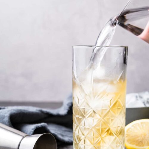 Classic Whiskey Highball Recipe - Food Faith Fitness