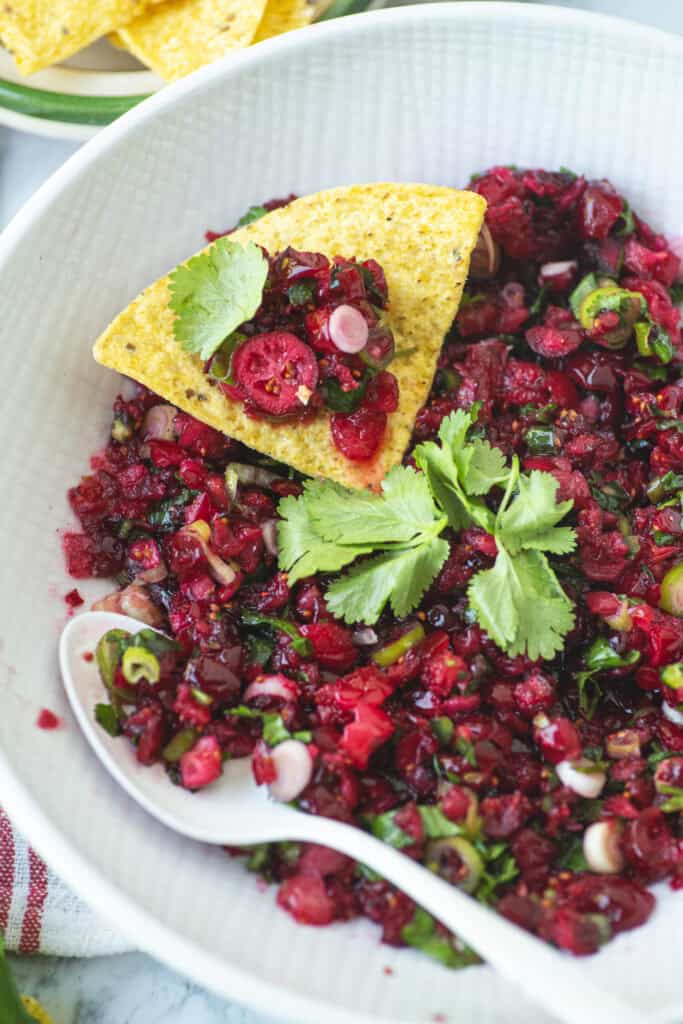 Cranberry Salsa - Food Faith Fitness